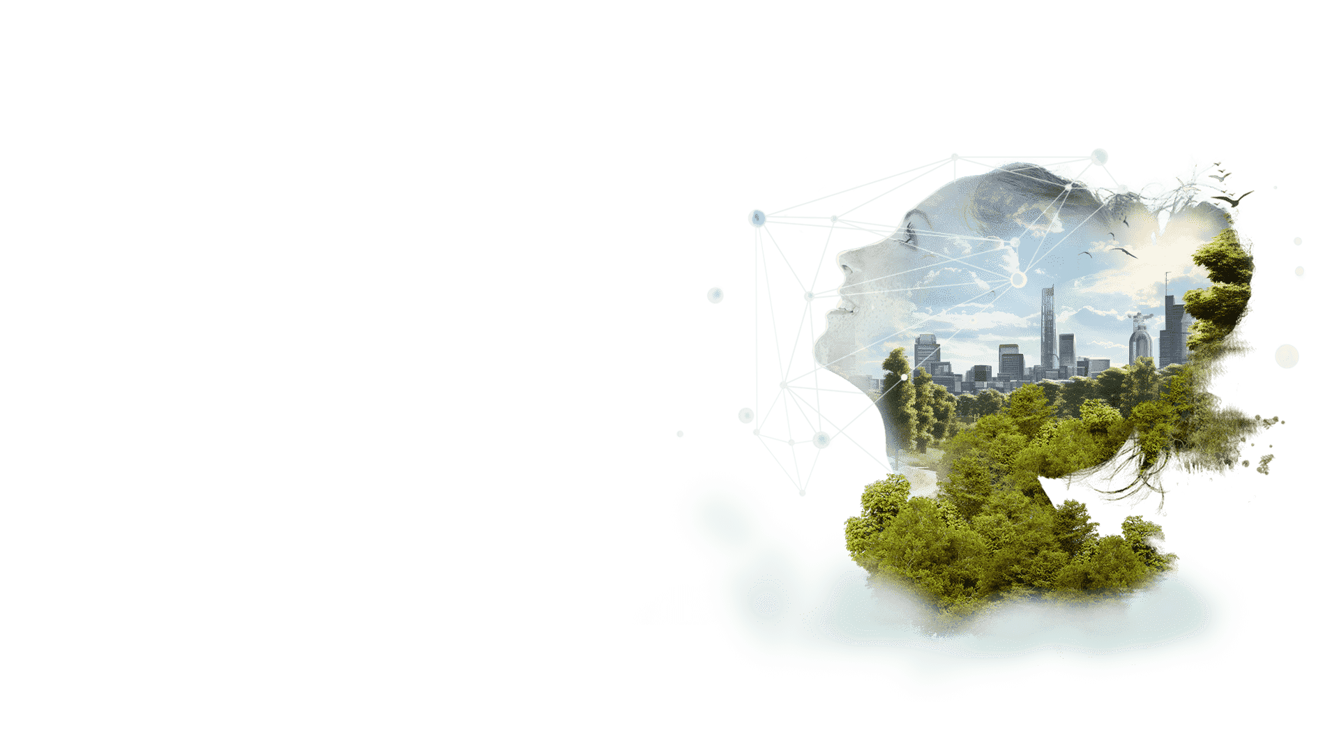 Cyllene Solution - Accueil